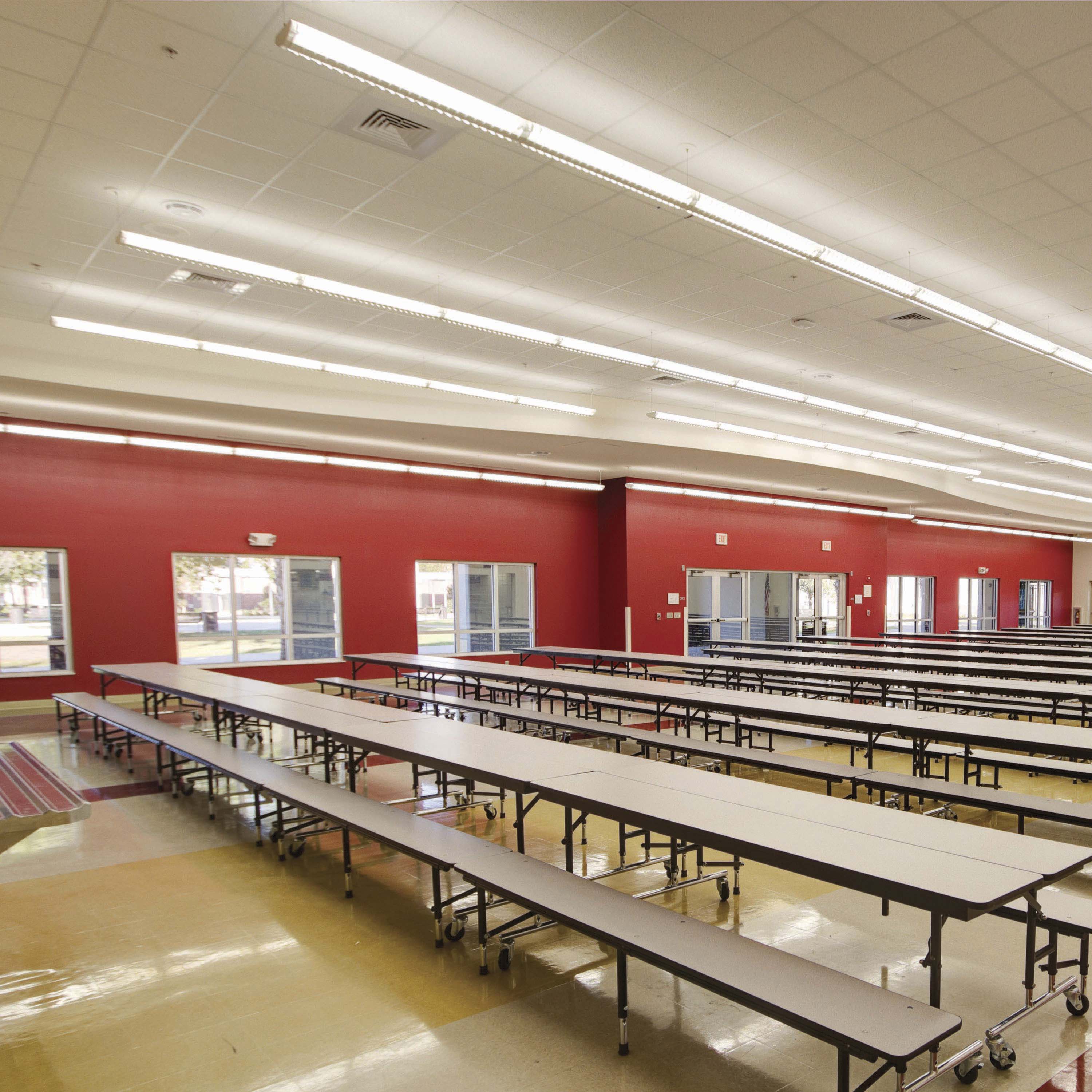 Satco Buy American Act (baa) Tube T8 Linear LED – TrueLite Distribution